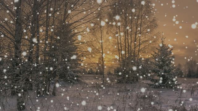 Футаж. Зимний пейзаж 120