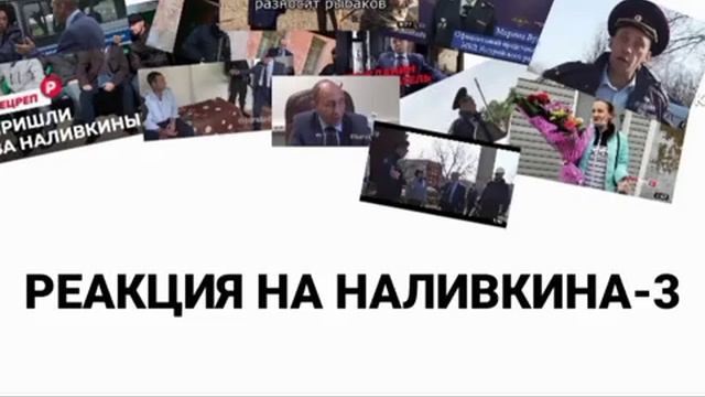 Реакция на Наливкина-3. Выпуск 11 - Помощник Наливкина и контроль сбора грибов