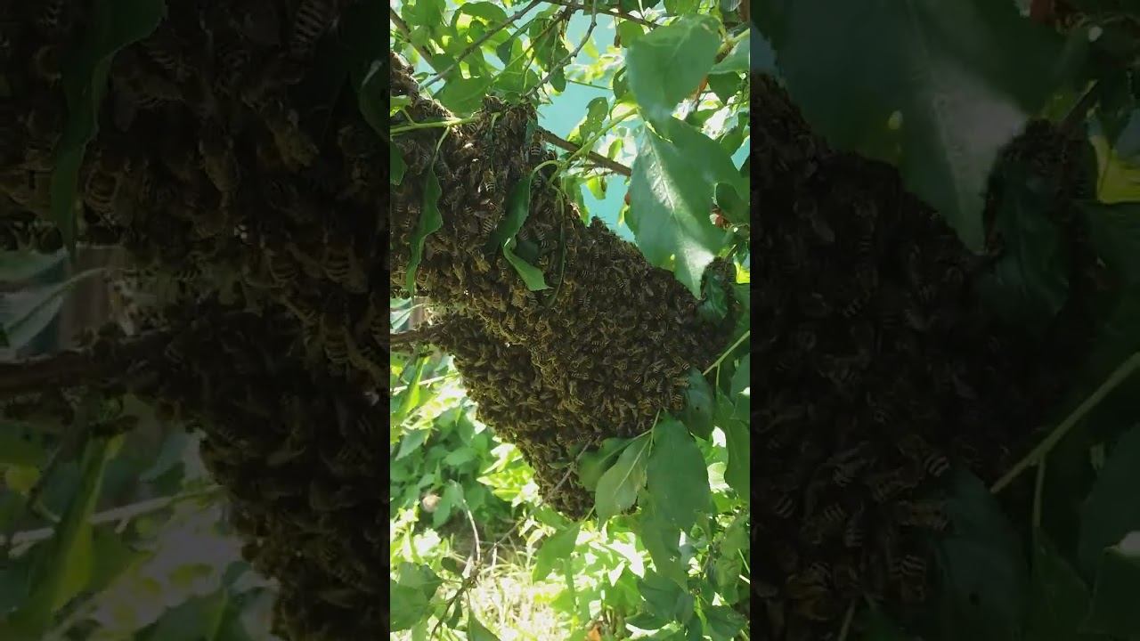 Боковой ветер