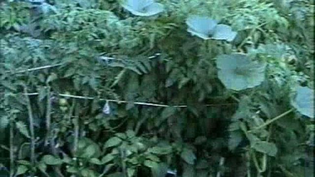 2016 Август Мама я