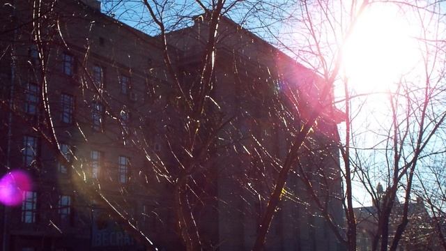 Солнечный свет