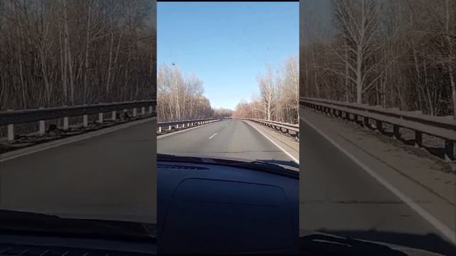 Дороги Саракташский район