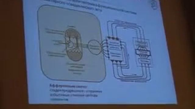 П К  Анохин решение психофизологической проблемы