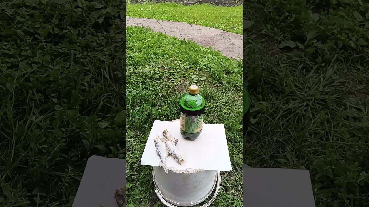 Чуток Прибрались