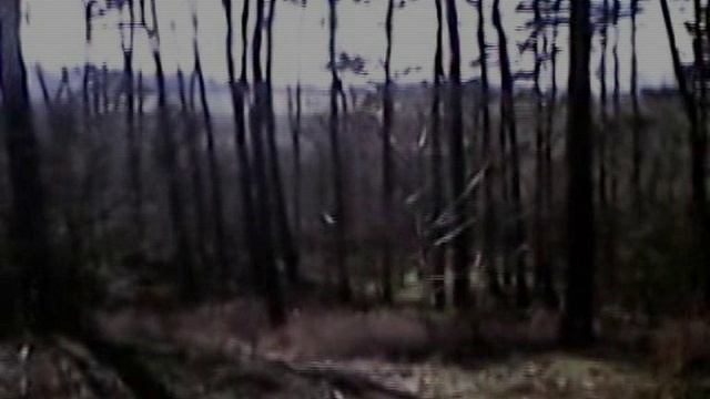 2016 Февраль Мама я