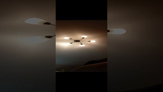 Мешок Хогвартса №5