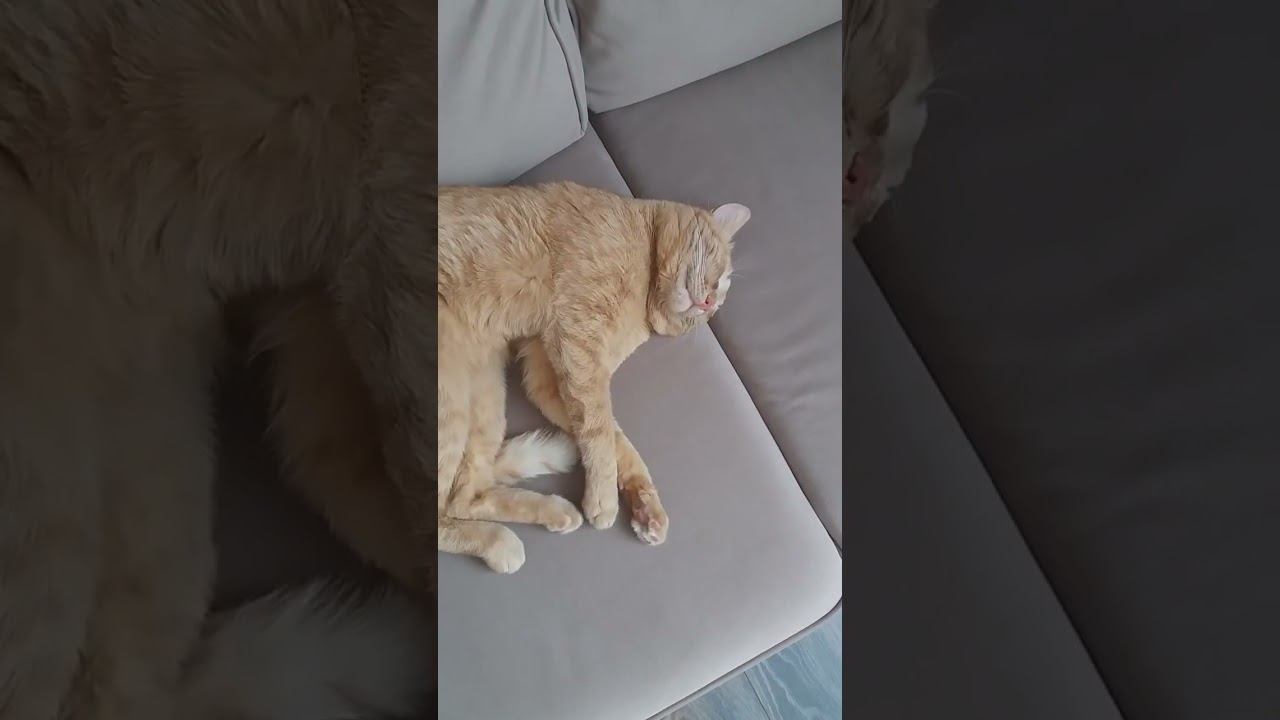 мррр у меня выходной