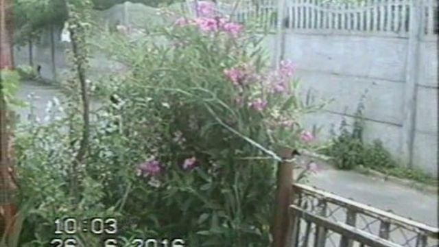 2016 Июнь Мама я