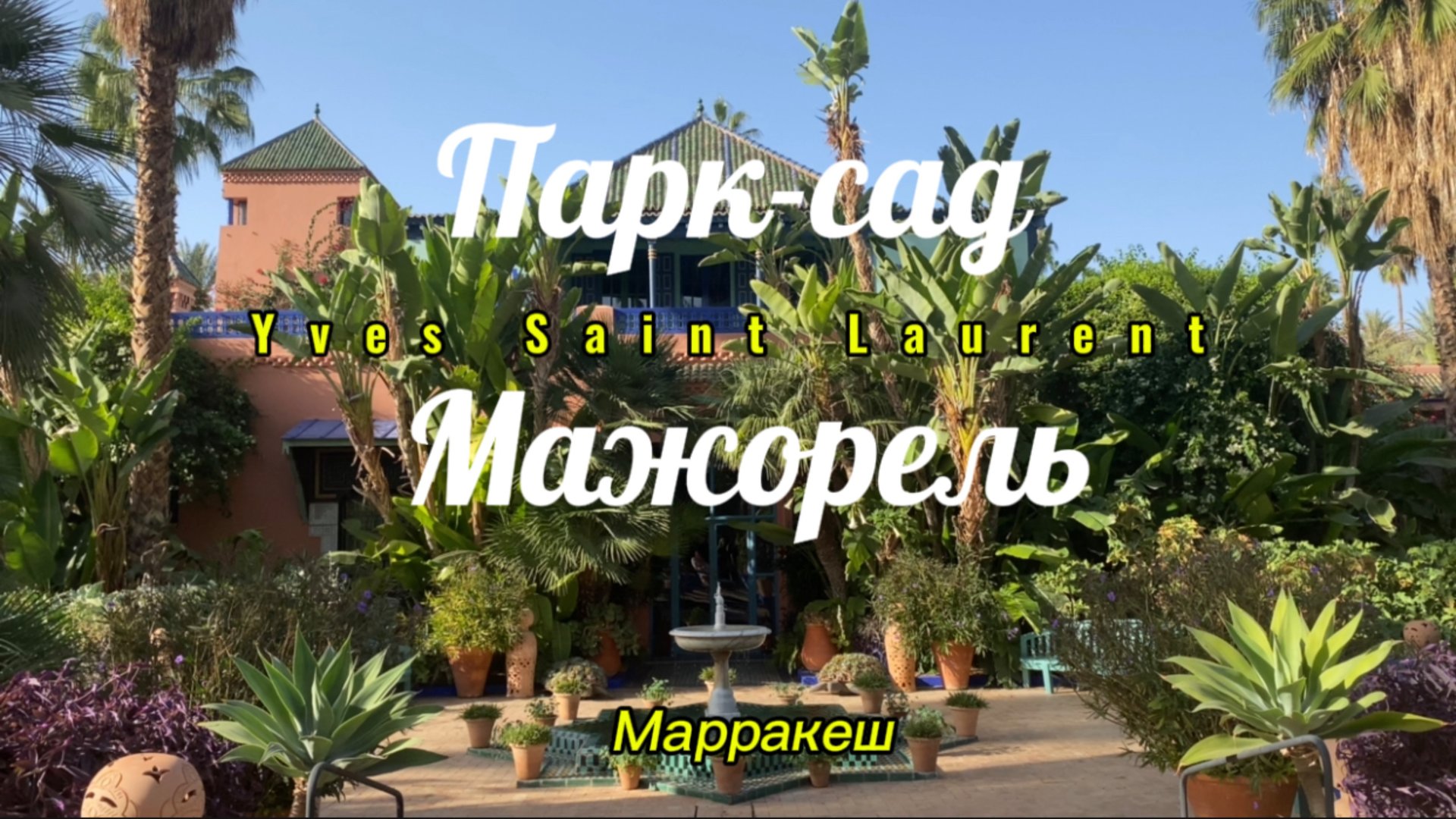 Свежий и яркий сад Мажорель. Марракеш 2024
#морокко #марракеш #мажорель