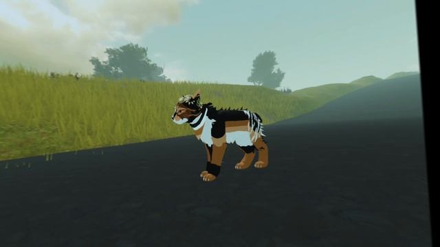 Мы раскрыли их тайну 🤣