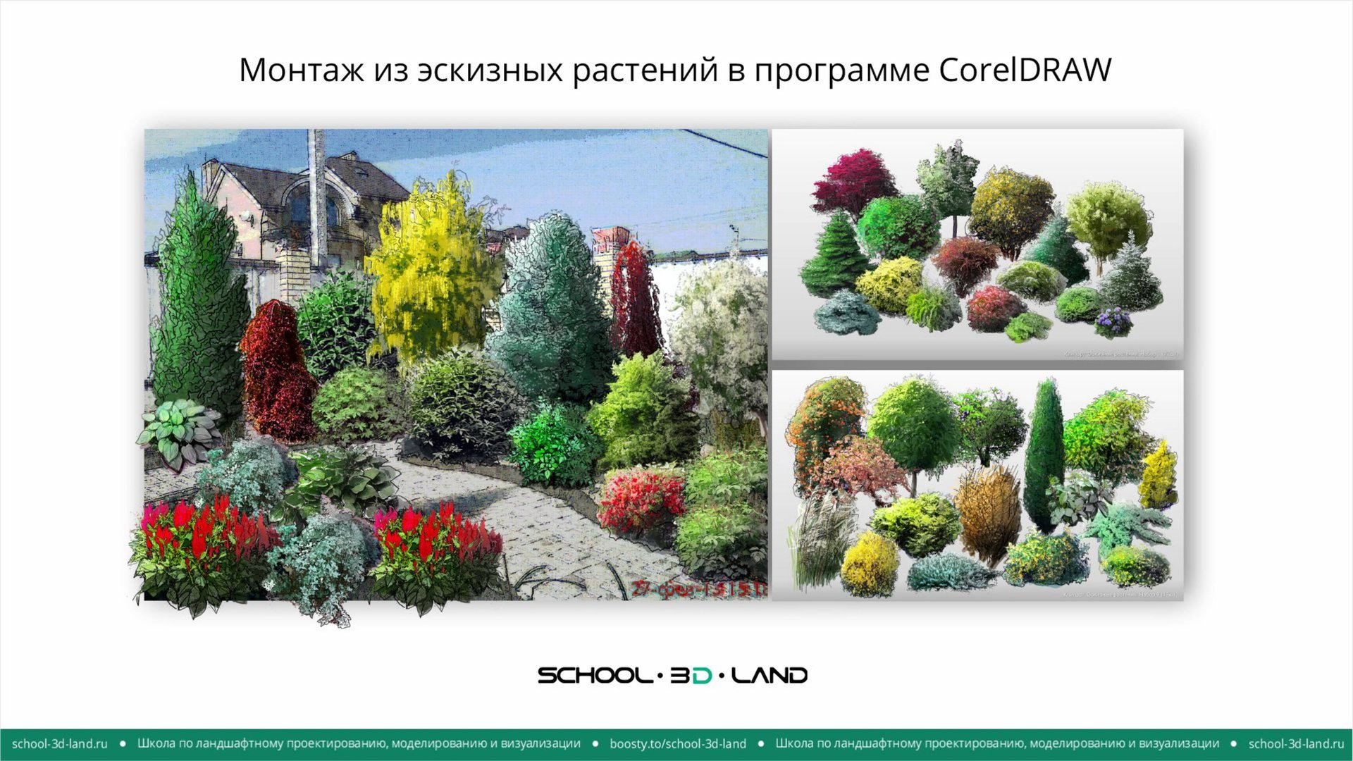 CD24 Фотомонтаж из эскизных растений в программе CorelDRAW