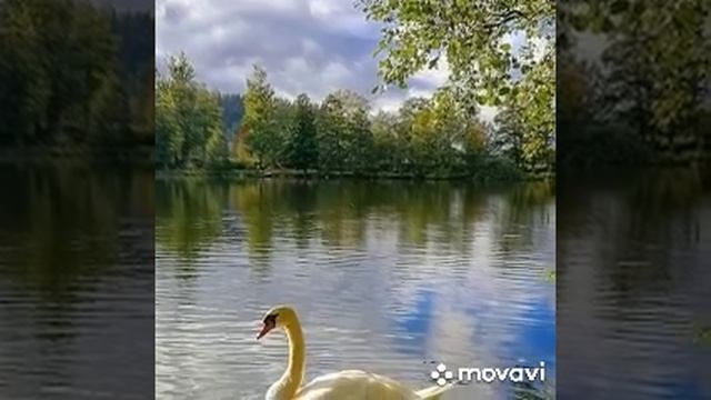 Камила Хайризаманова - Өҙгөләмә