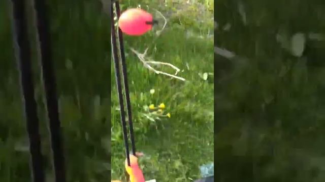 Натвячил)) #fishing #ловлящуки #рыбалка #твич #тренды #shorts #рек #втренде #спиннинг #shorts #топ