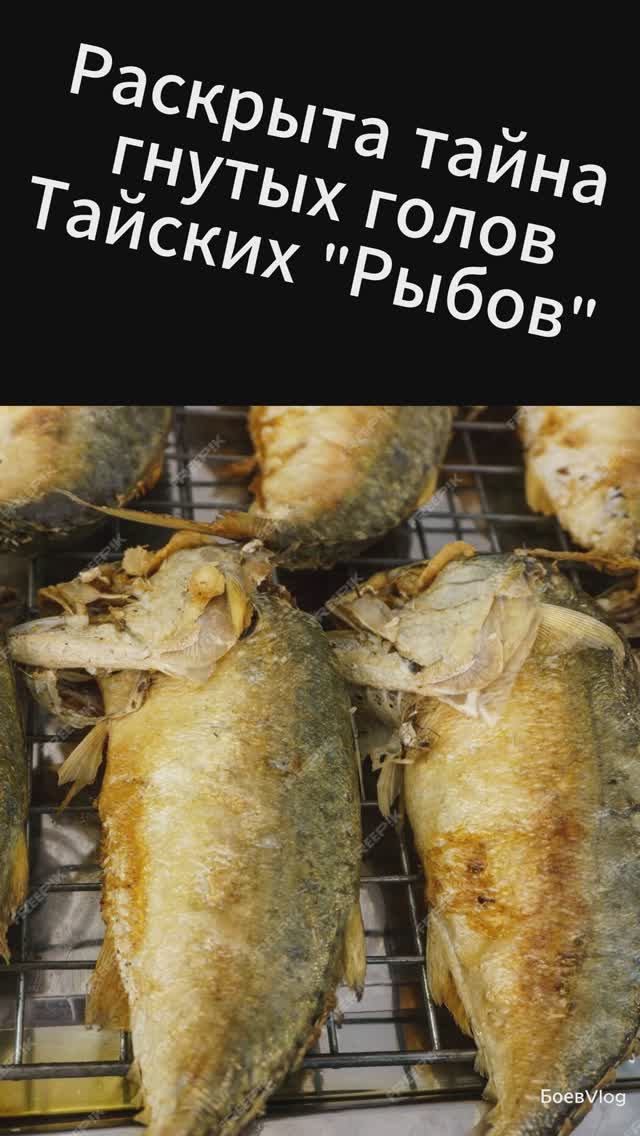 Тайна рыбьих голов