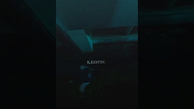 Мы все мерtvы