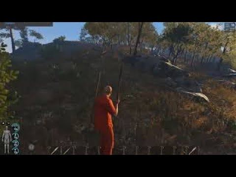 SCUM ИГРАЮ ПО СЕТИ