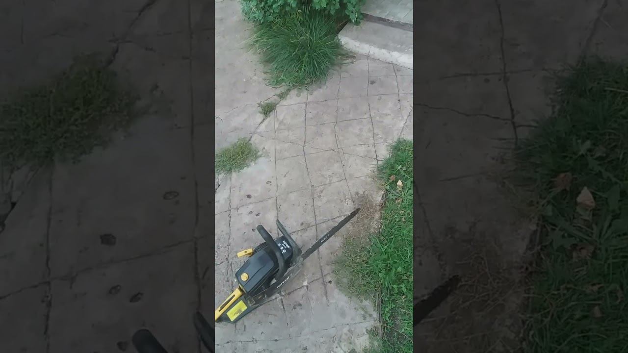 лес не даеот дрова фоме  ну дела!