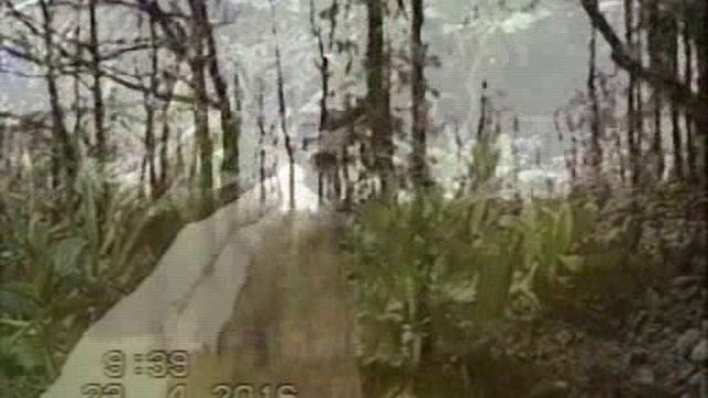 2016 Апрель Мама я