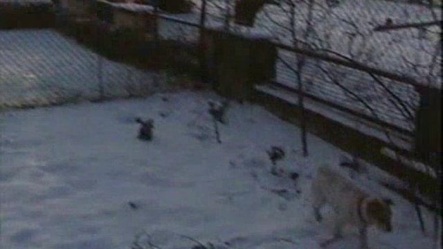 2016 Январь Мама я