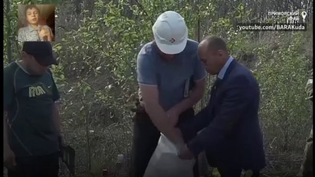 Реакция на Наливкина-4: Последний осенний сезон. 2 выпуск - Председатель исполкома