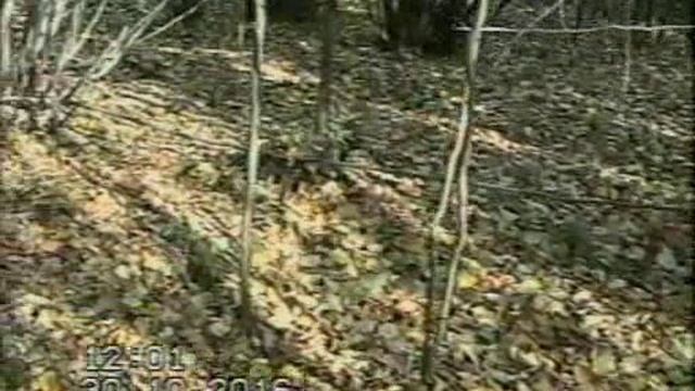 2016 Октябрь Мама я