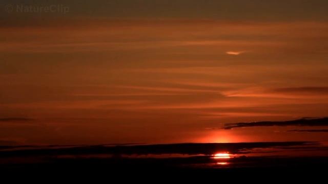 ОЧЕНЬ МОЩНАЯ ПРОГРАММА ИСЦЕЛЕНИЯ ЧАКР СОЛНЕЧНОГО СПЛЕТЕНИЯ