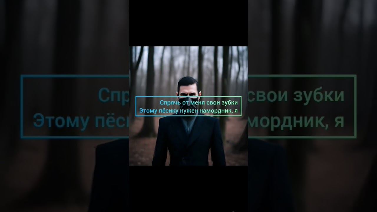 20 августа 2024 г.