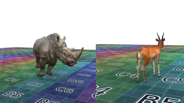 Видео с анимацией - животные