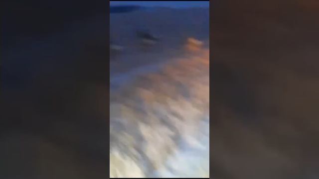 Нашли, после 6 месяцев поиска