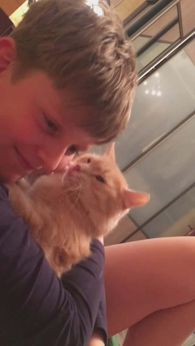 Что важно. 2018