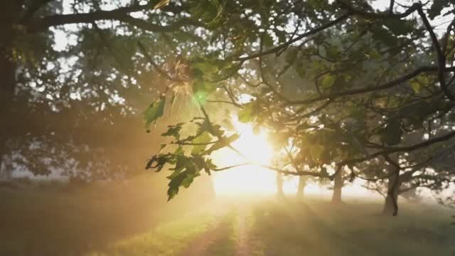 ВЕЧНОЕ СЧАСТЬЕ. Песня с глубоким смыслом! Русские клипы 2024 новинки, песни для души