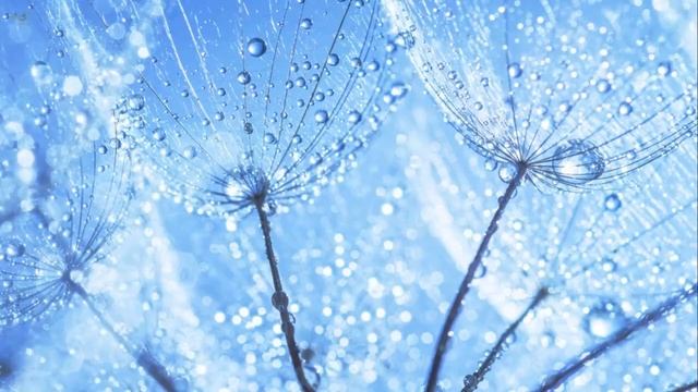 Красивая_фортепианна...57_48._4.mp4