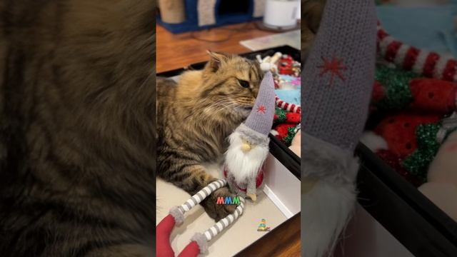 Подпишись и смотри продолжение🎄😻 #котики #скетчи #животные