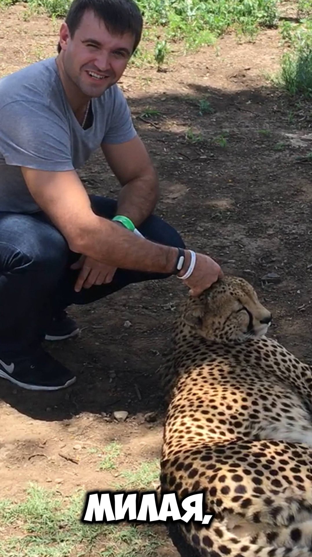 Познакомился с МИЛАШКОЙ Леопардом! НЕПЕРЕДАВАЕМО!