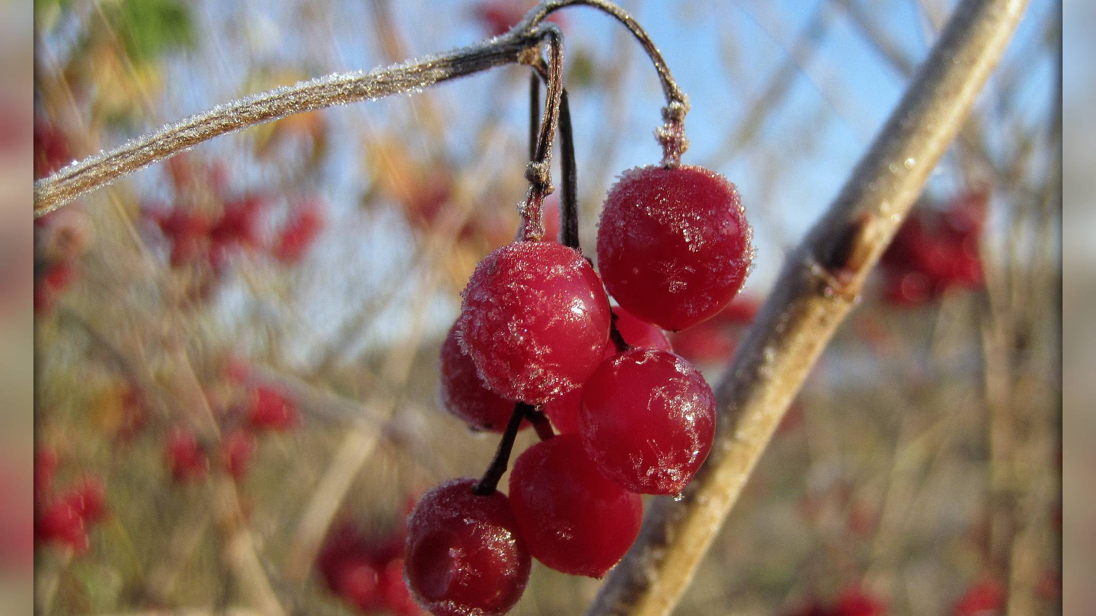 Симфония природы.