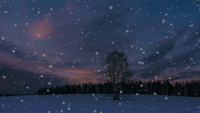 Футаж. Зимний пейзаж 121