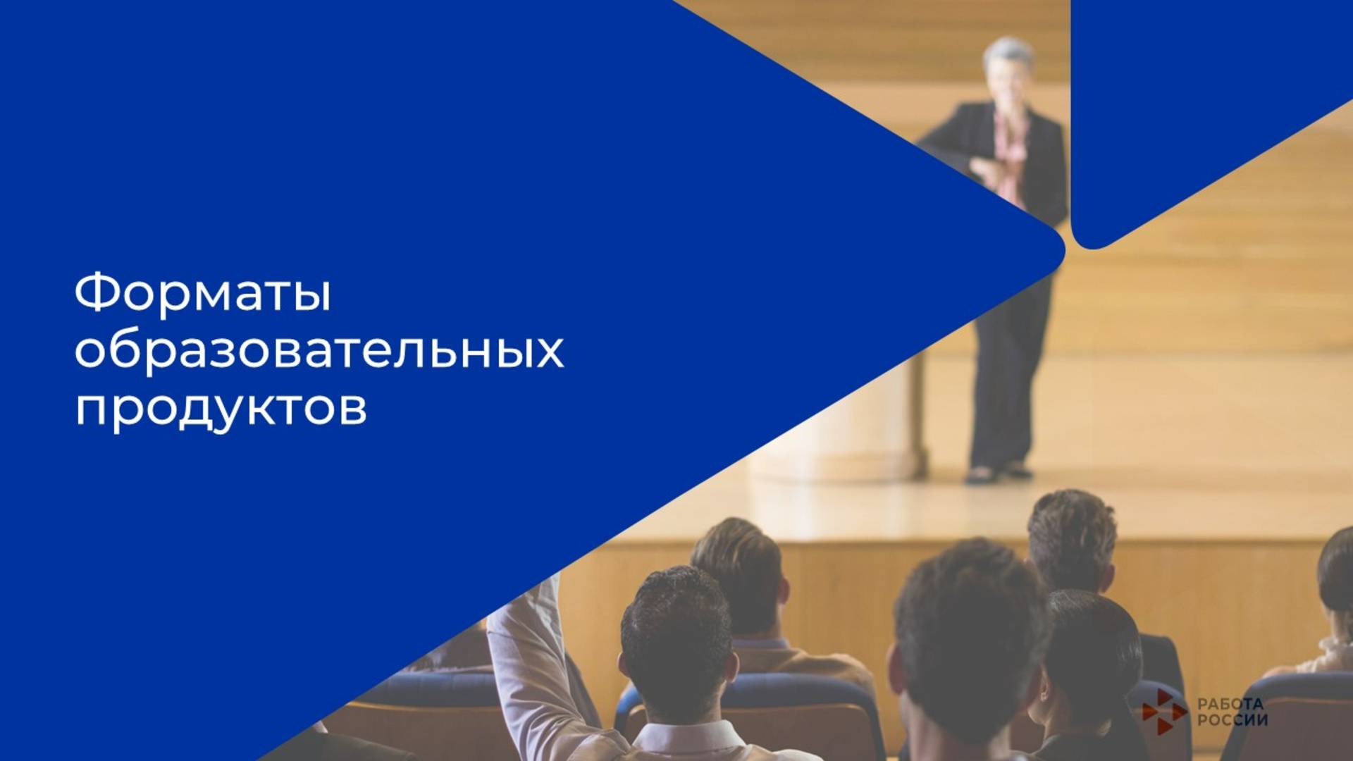 Лекция 1. Обзор форматов образовательных продуктов.