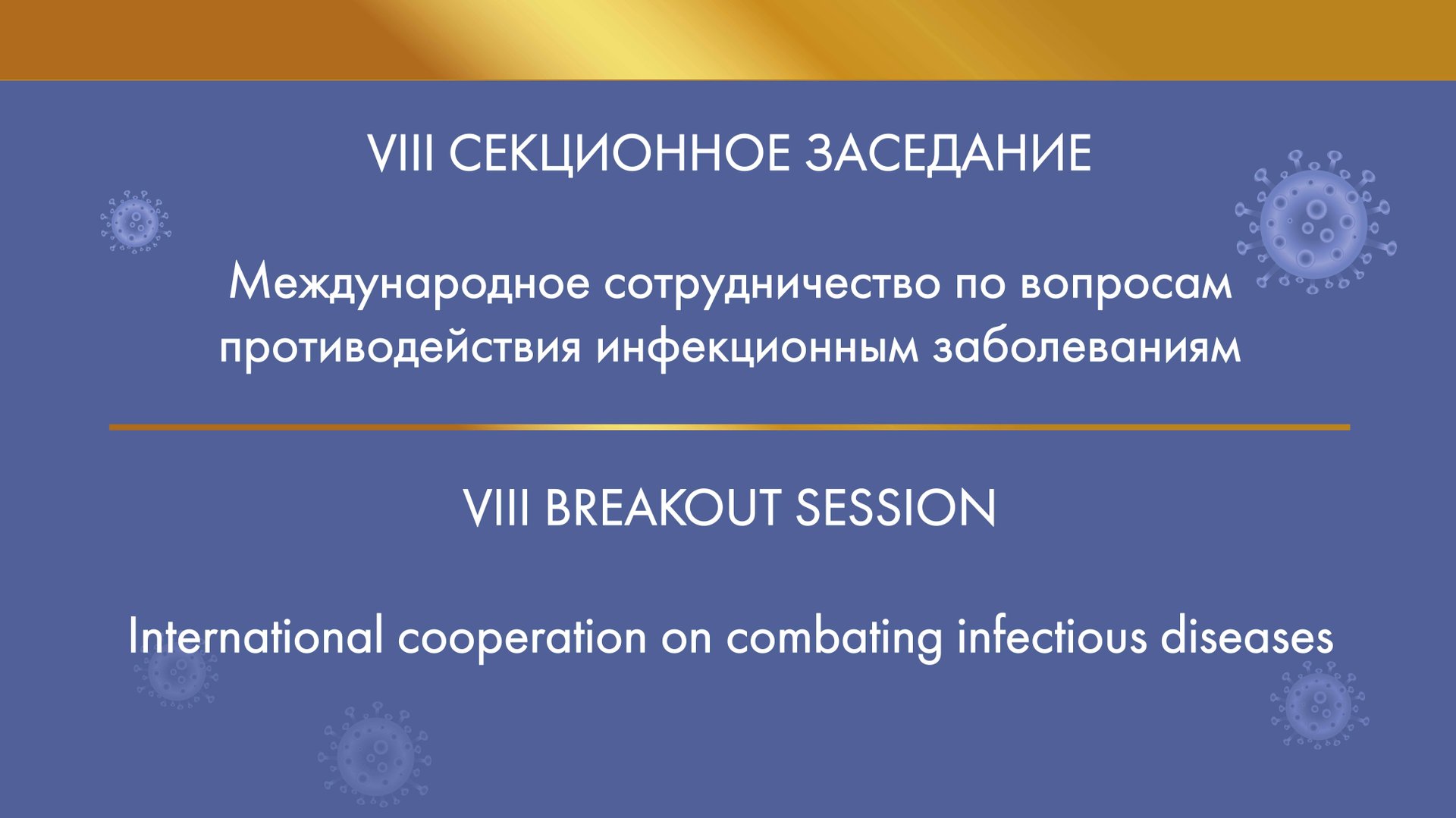 VIII Breakout session. International cooperation on combating infectious diseases