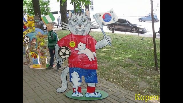 Петербургские коты и футбол 2018 года