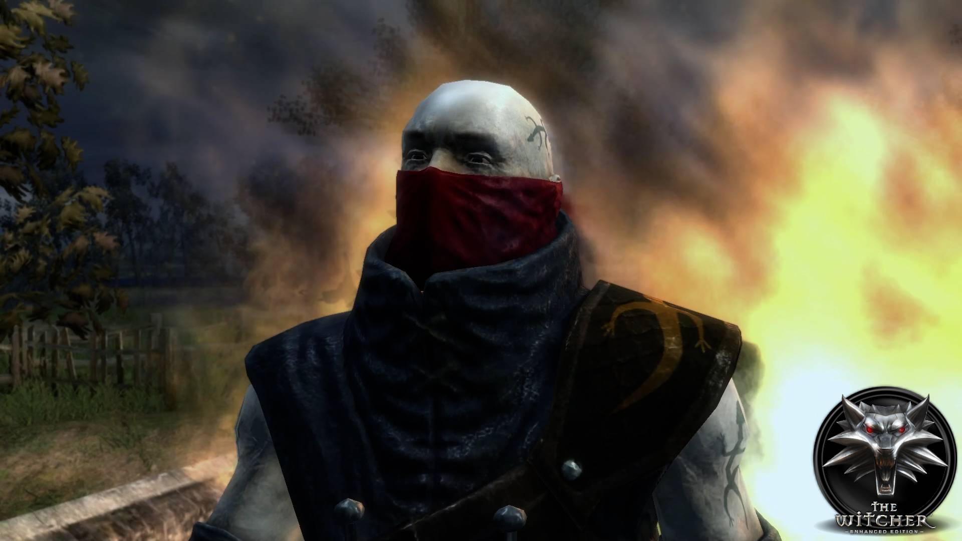 #4 Снова Саламандры (молчаливое прохождение) - The Witcher