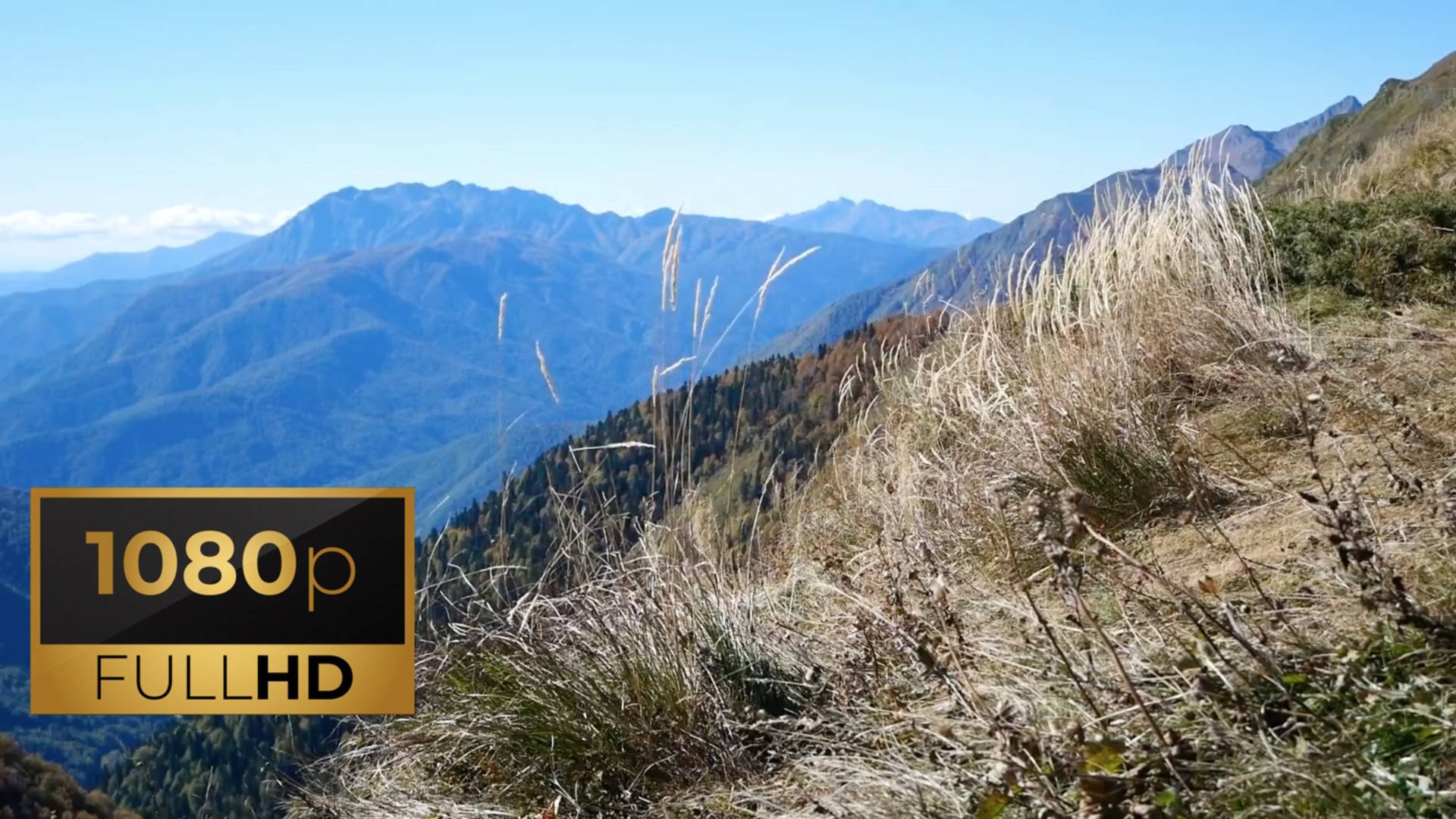 Вид на горы. Расслабляющие звуки сверчков. / Mountain view. 1 час. FullHD.