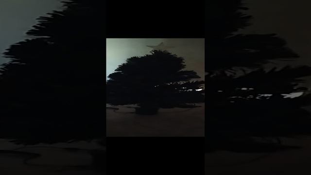 Елка искусственная оптоволокно (предпродажный просмотр122)