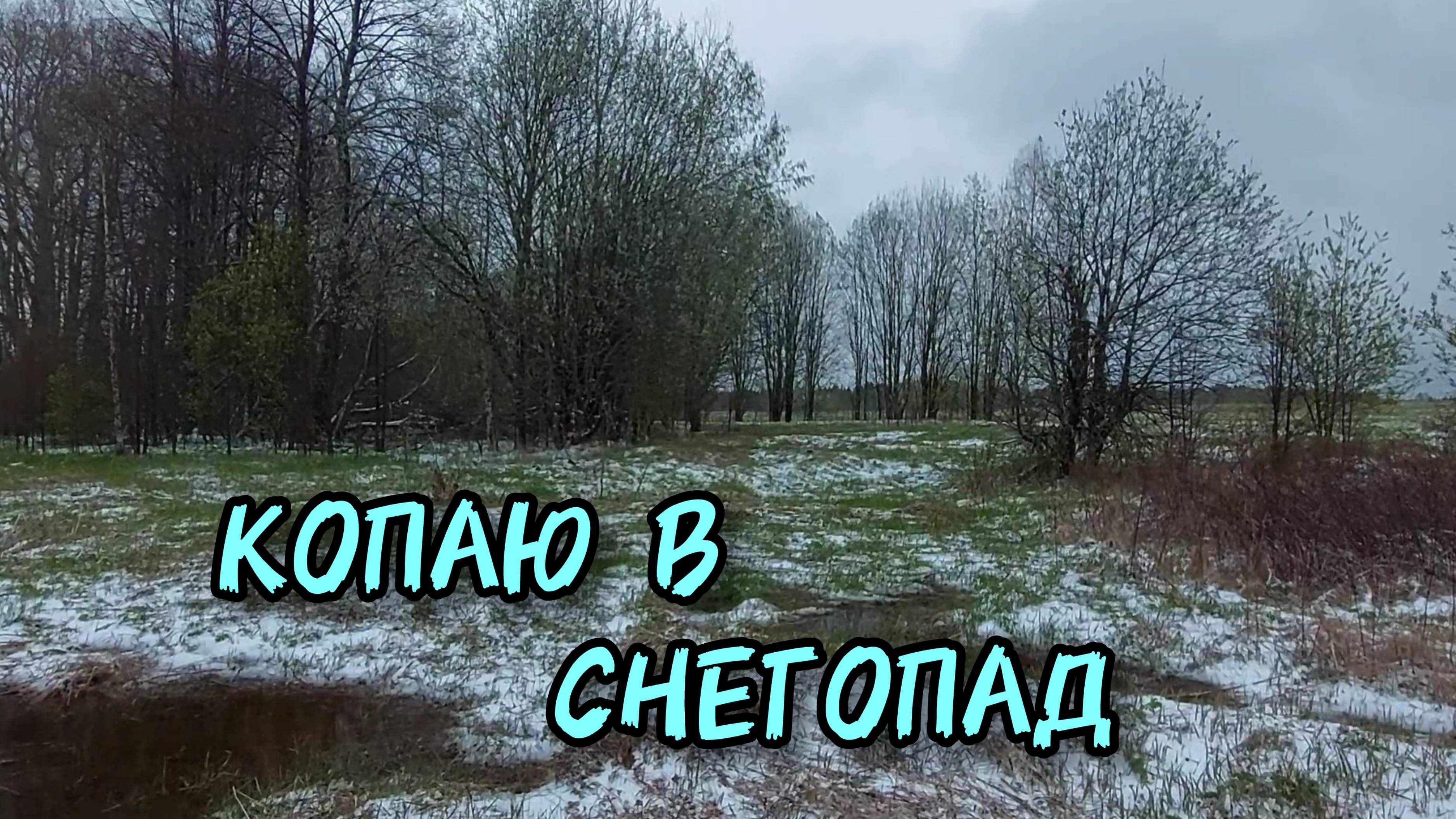 Копаю в снегопад на старых урочищах 2024