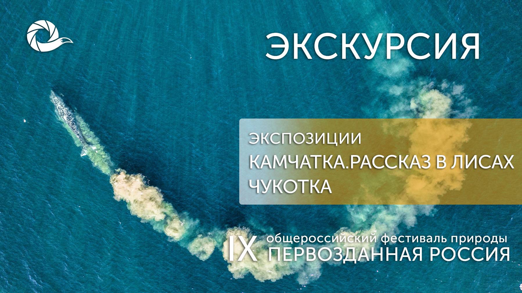 Экскурсия по IX Фестивалю. Чукотка/ Камчатка. Рассказ в лисах
