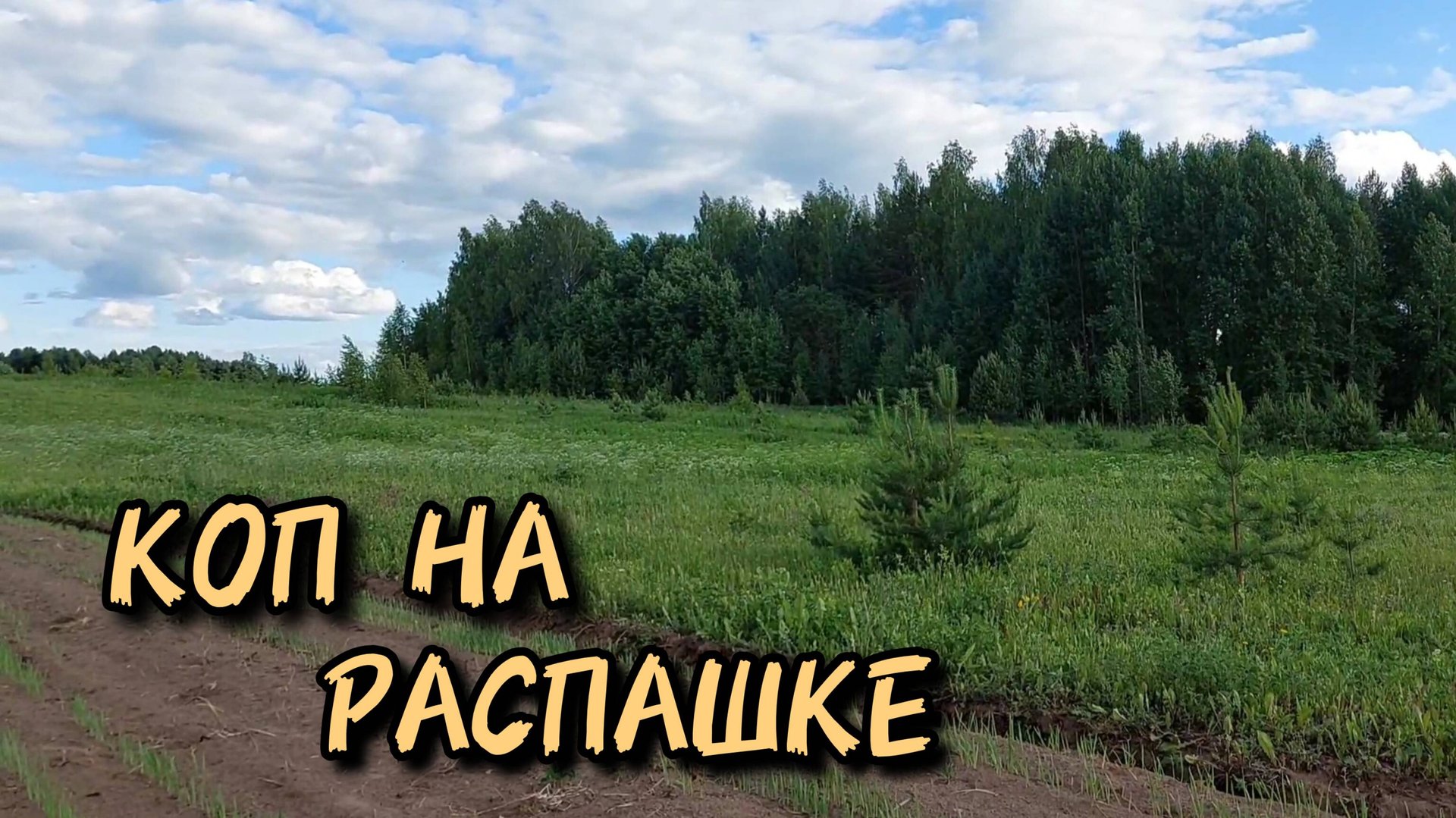 Коп на распашке с металлоискателем TX 850