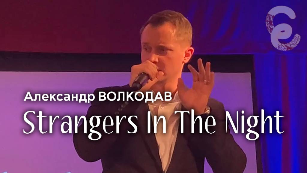 "Strangers In The Night" Александр Волкодав - Егорьевский историко-художественный музей 7.12.2024