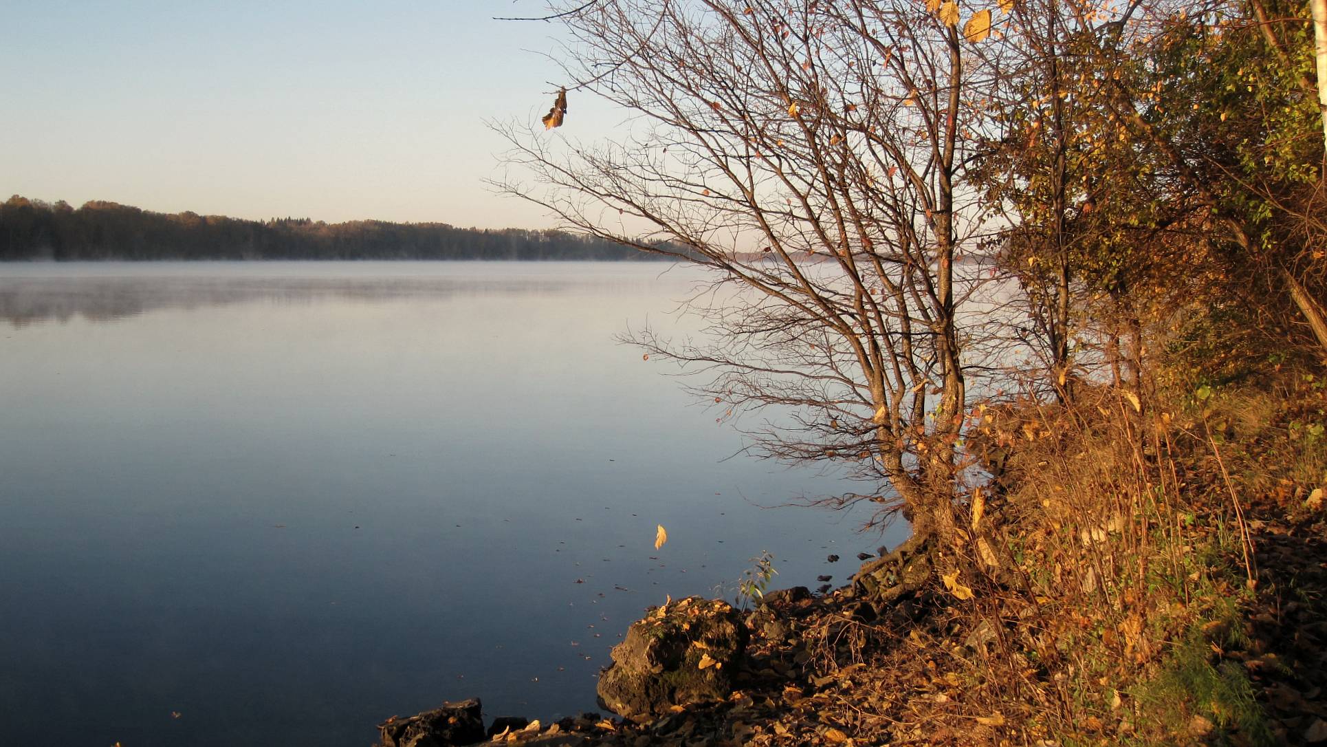 Позитивные фотографии для поднятия настроения под песни Бременских музыкантов