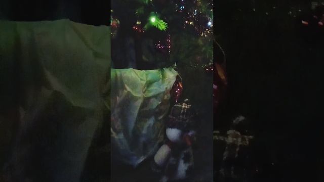 Лесная красавица 🎄⛄