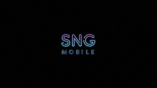 Разработка логотипа для бренда  SNG