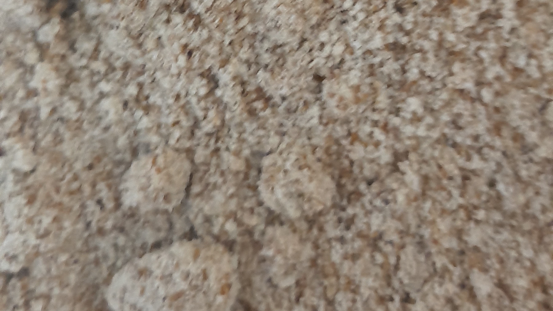 ⛔ стоп. Расторопша чистит печень